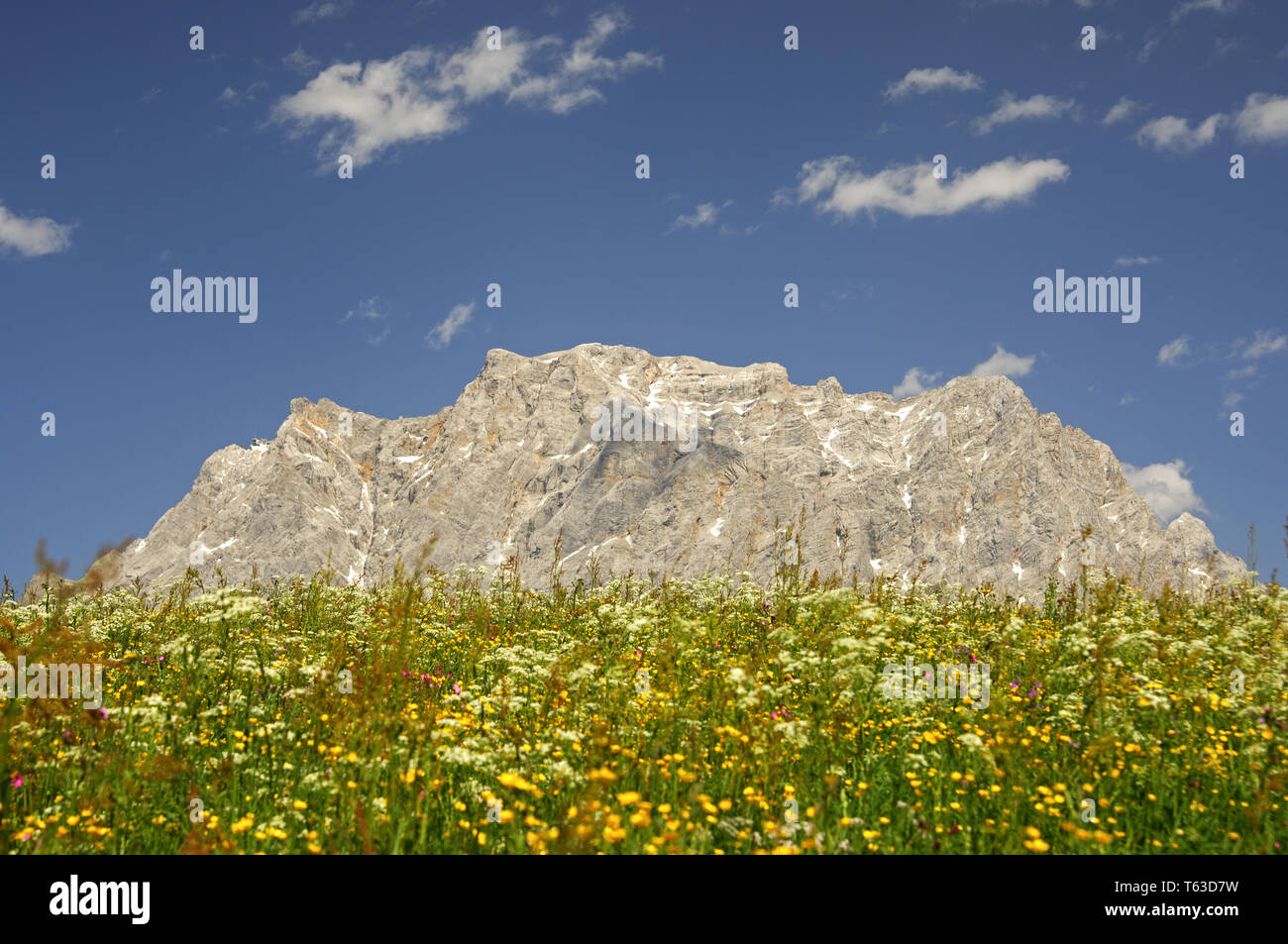 Highest point austrian alps hi-res stock photography and images - Alamy