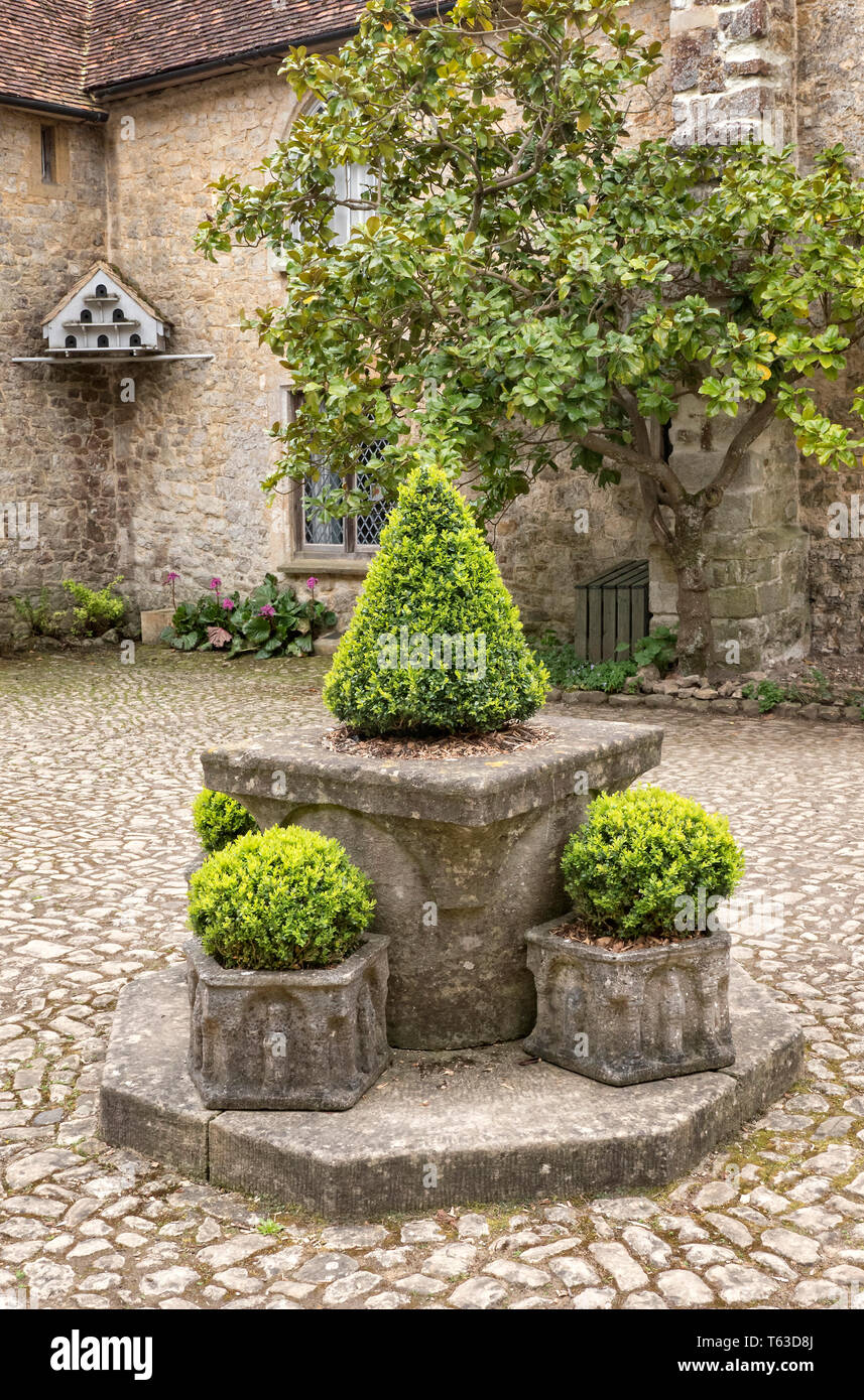 Topiary trees in containers hi-res stock photography and images - Alamy