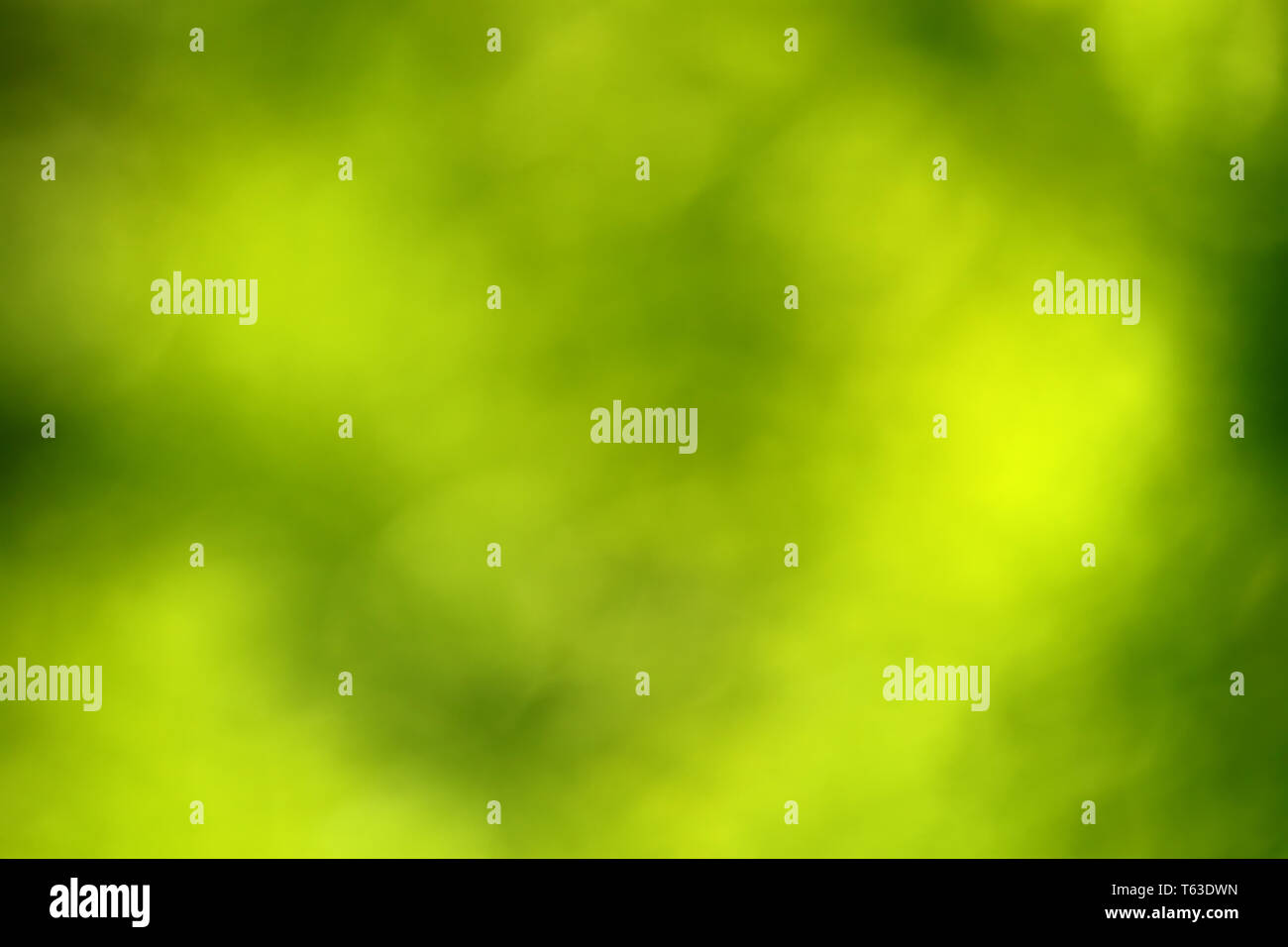 Abstract green blurred green background Stock Photo - Alamy
