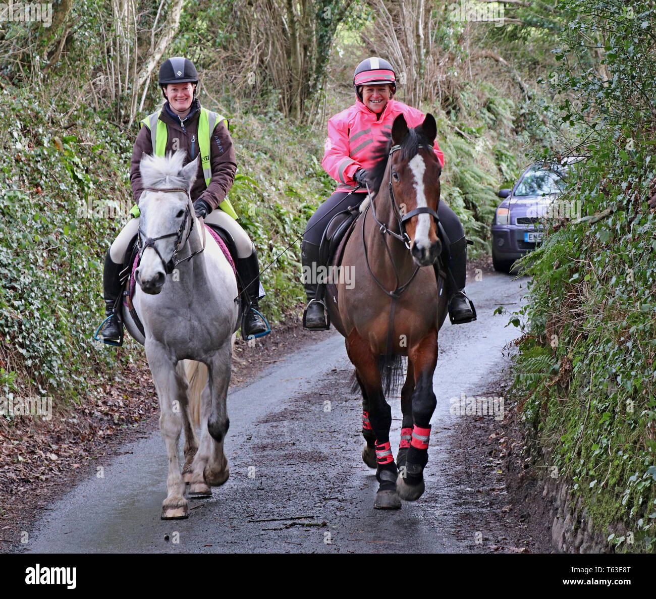 Equestrians horse hi-res stock photography and images - Alamy