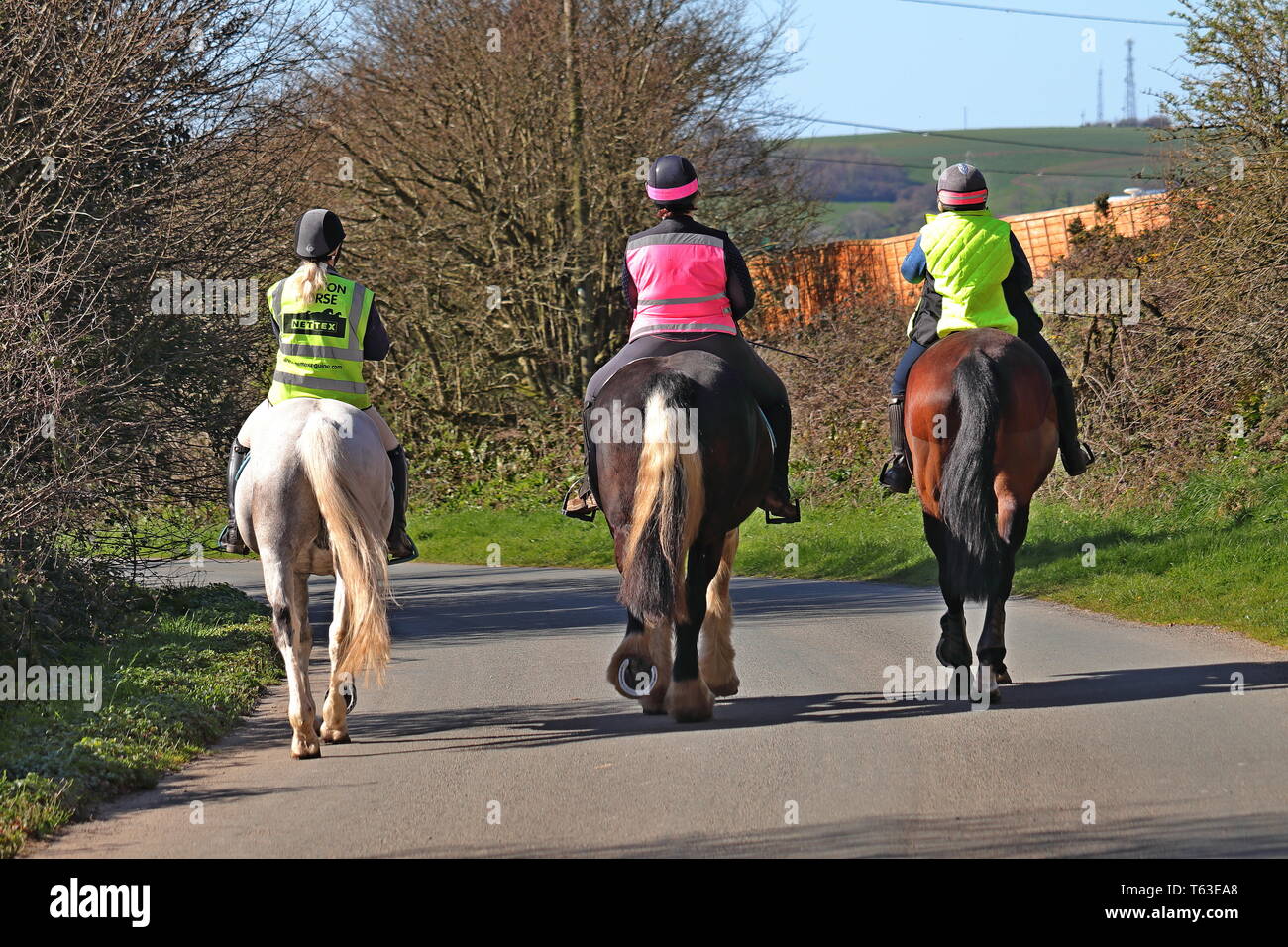 Three horseriders, view from the rear Stock Photo - Alamy