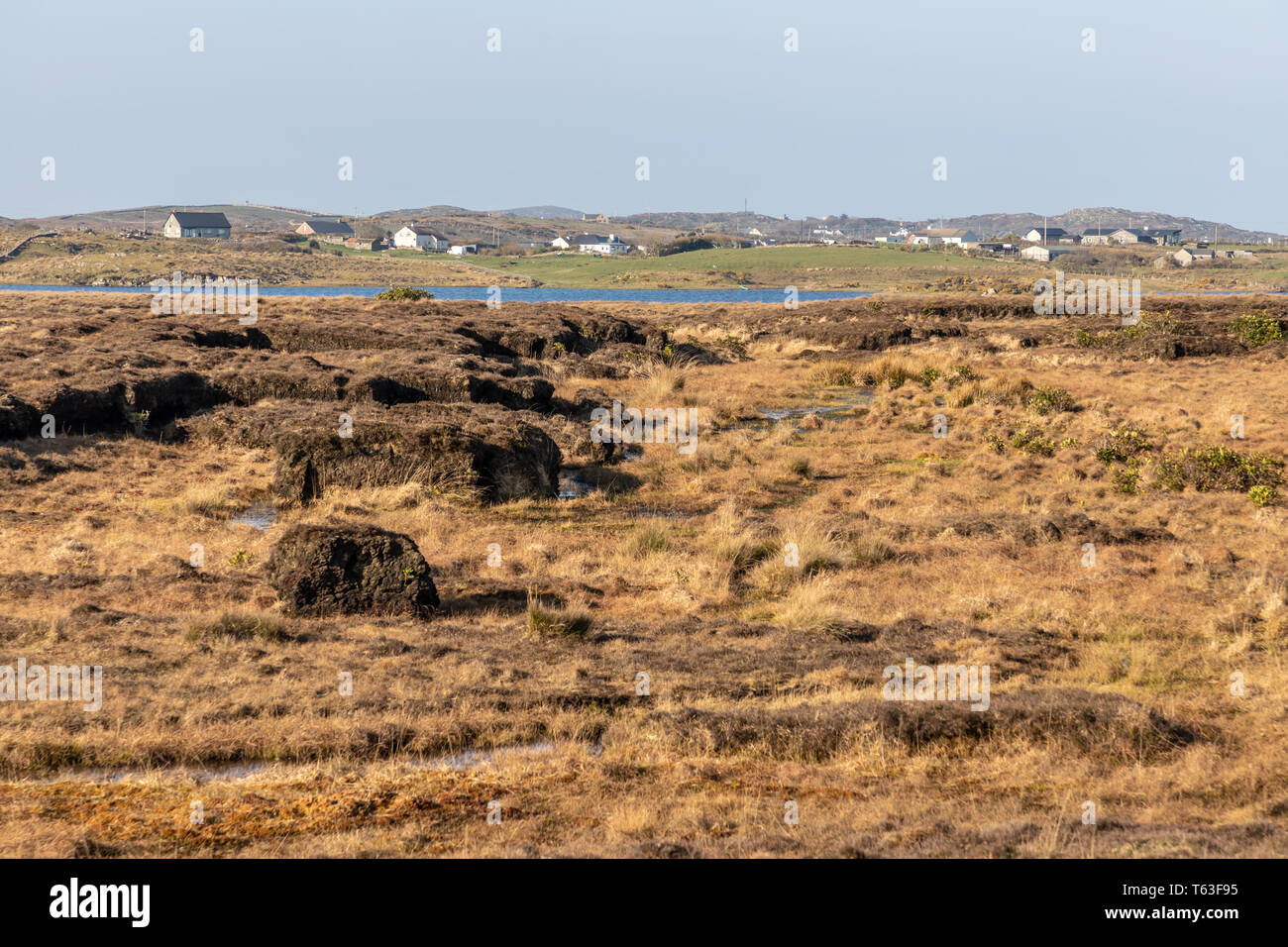 Bog with Farm houses in background, Clifden, Galway, Conemara, Ireland ...