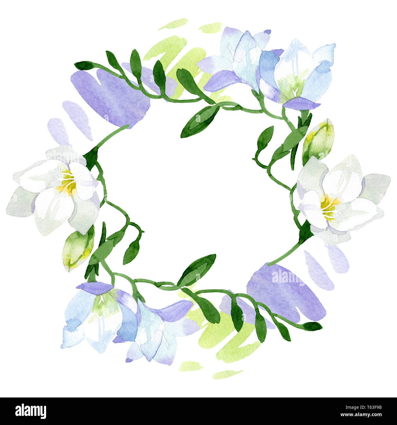White freesia floral botanical flowers. Watercolor background ...