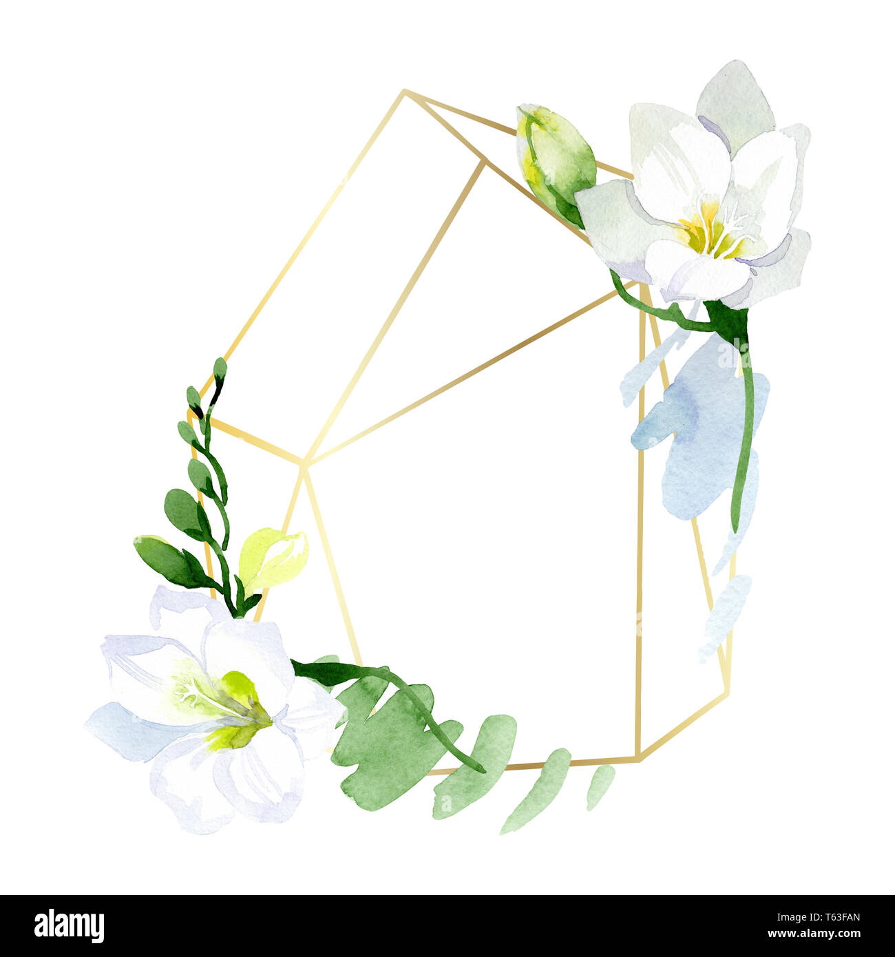 White freesia floral botanical flowers. Watercolor background ...