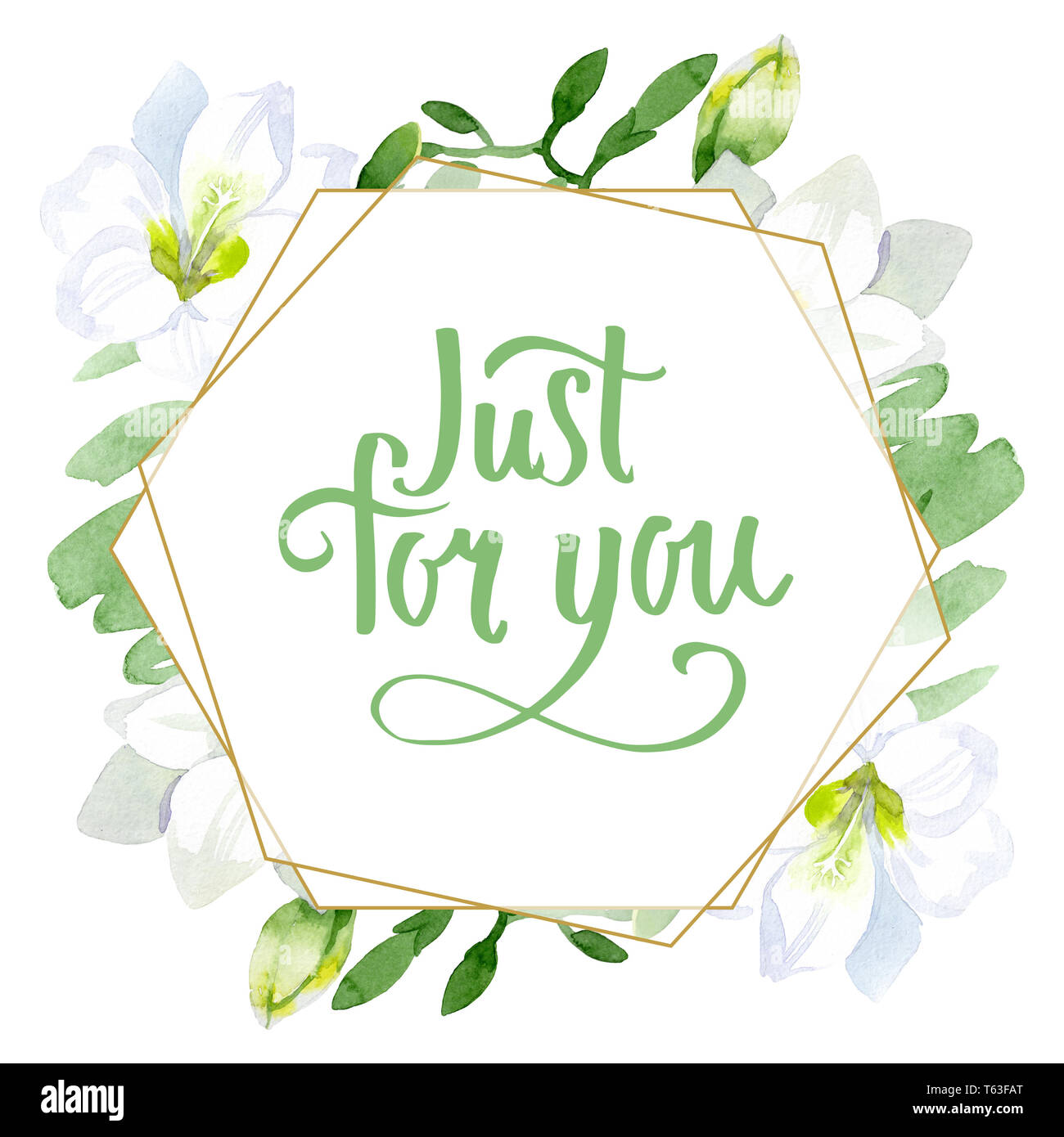 White freesia floral botanical flowers. Watercolor background ...