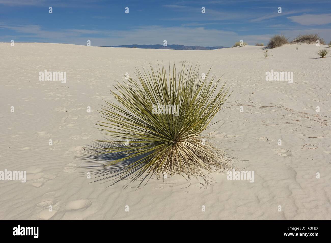 View of the White Sands National Monument with its gypsum sand dunes in ...