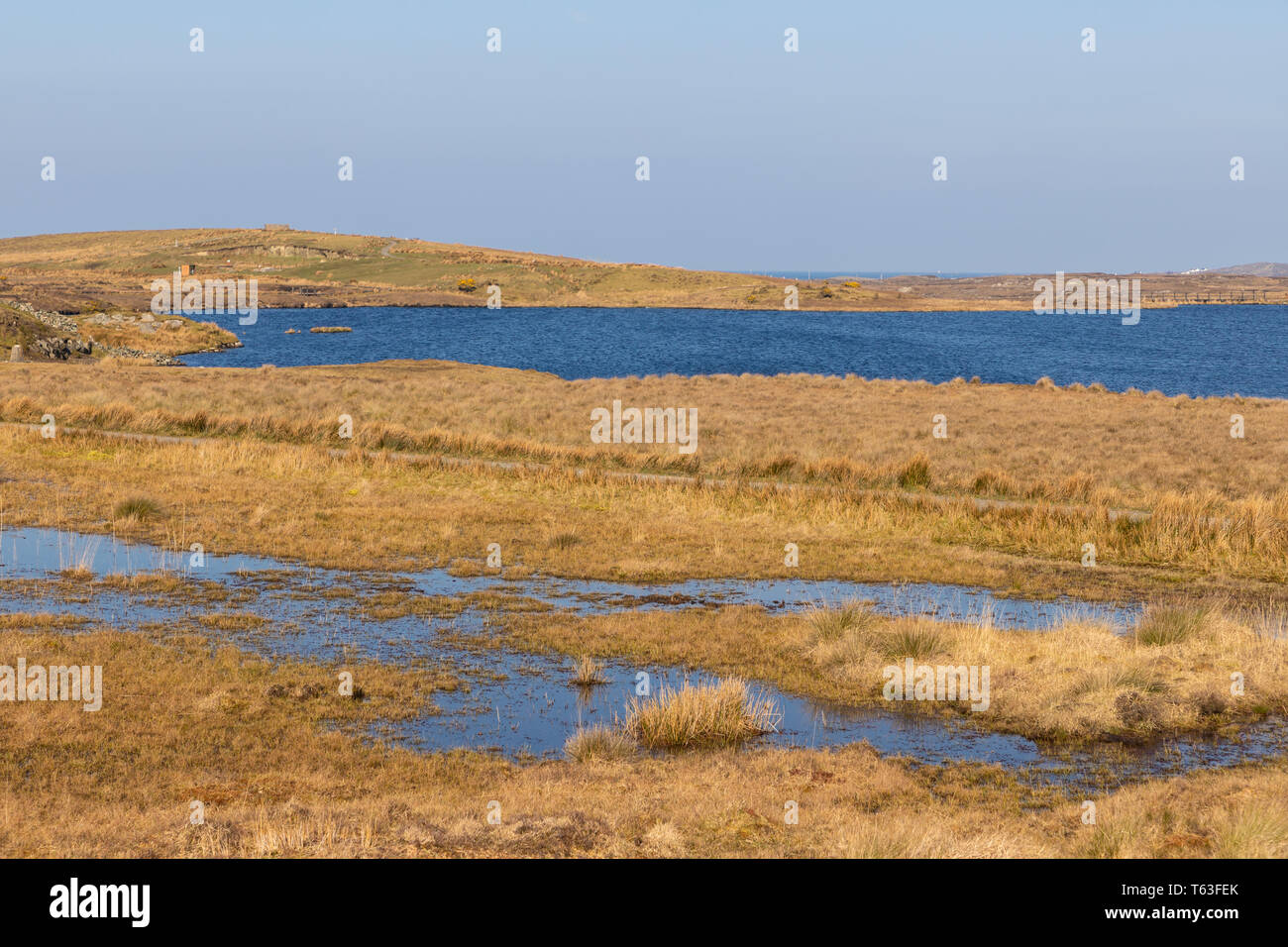 Bog rock hi-res stock photography and images - Alamy