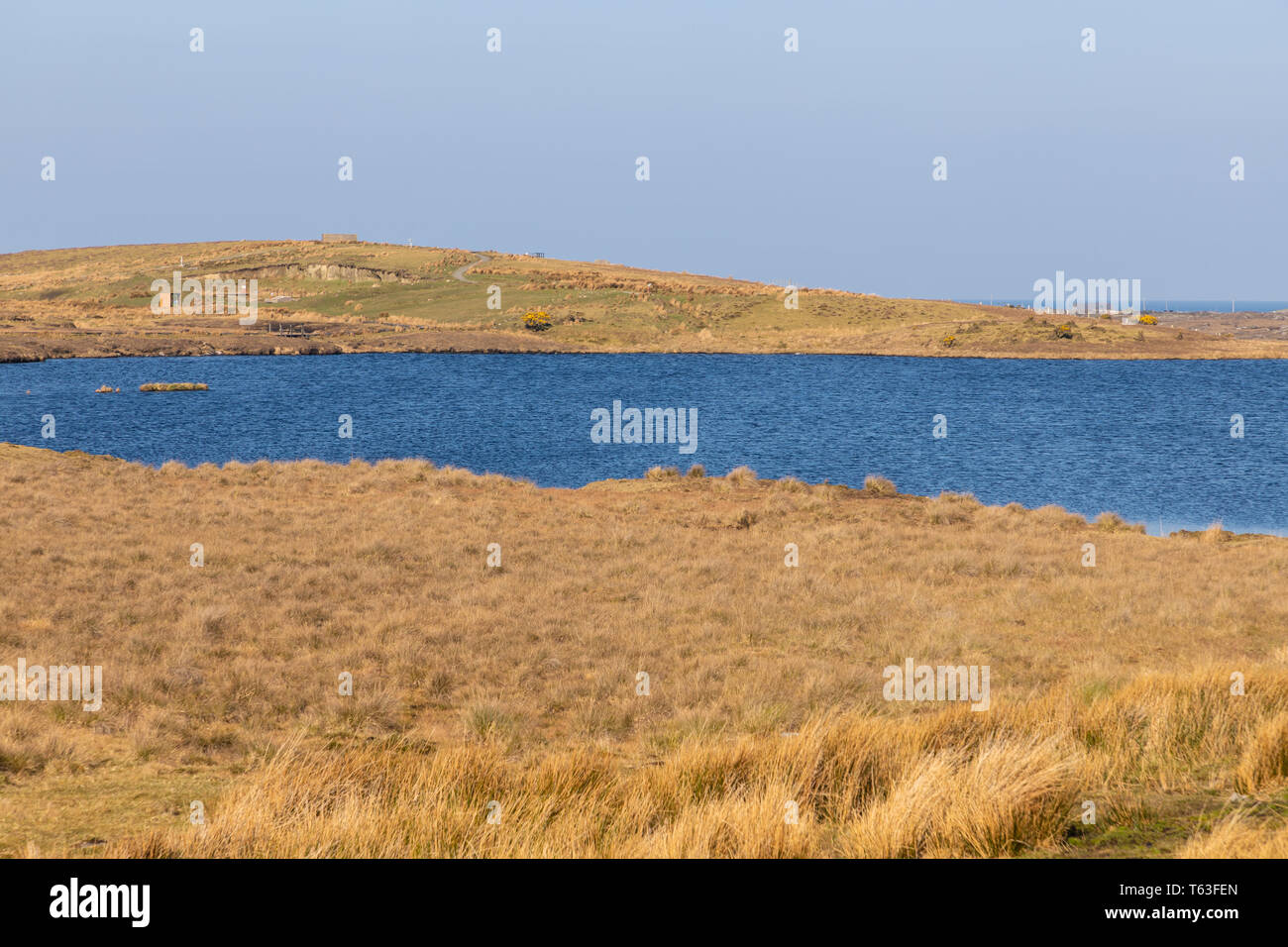 Bog with vegetation and lake, Clifden, Galway, Conemara, Ireland Stock ...