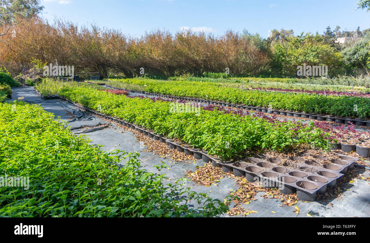 Blackbookphoto hi-res stock photography and images - Alamy