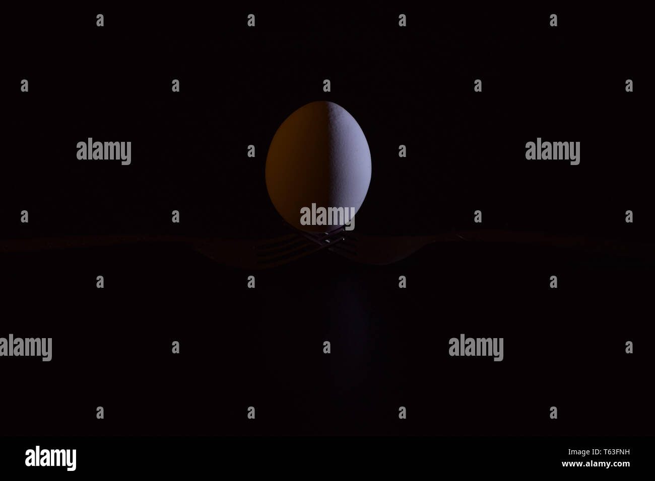 Egg under single light source Stock Photo - Alamy