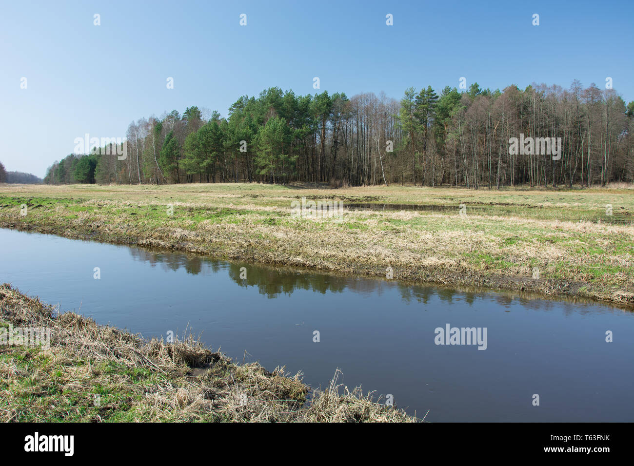 Meadow riverside forest hi-res stock photography and images - Alamy
