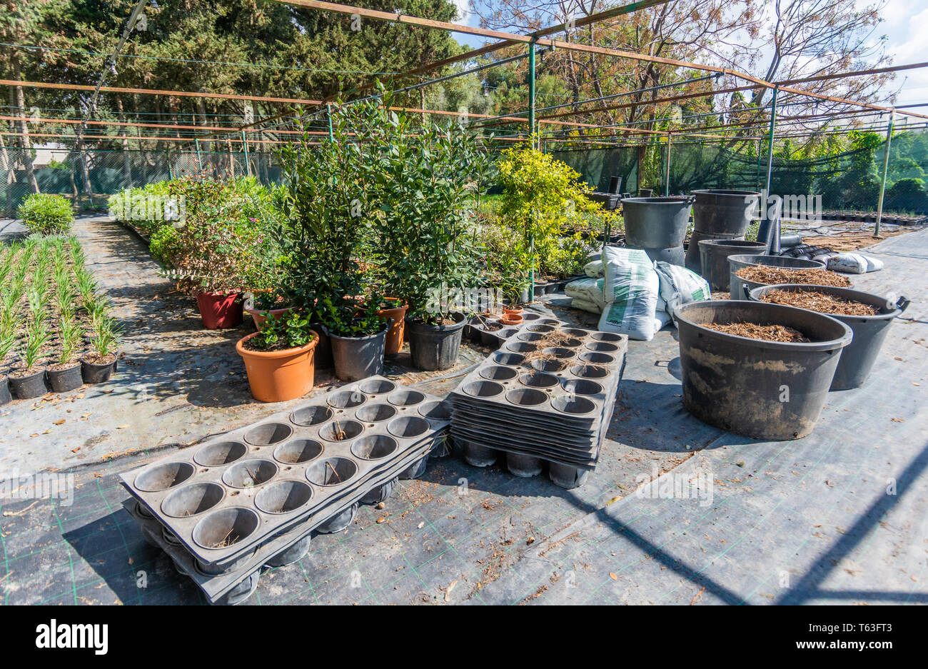 Nursery with plants for landscaping Stock Photo - Alamy