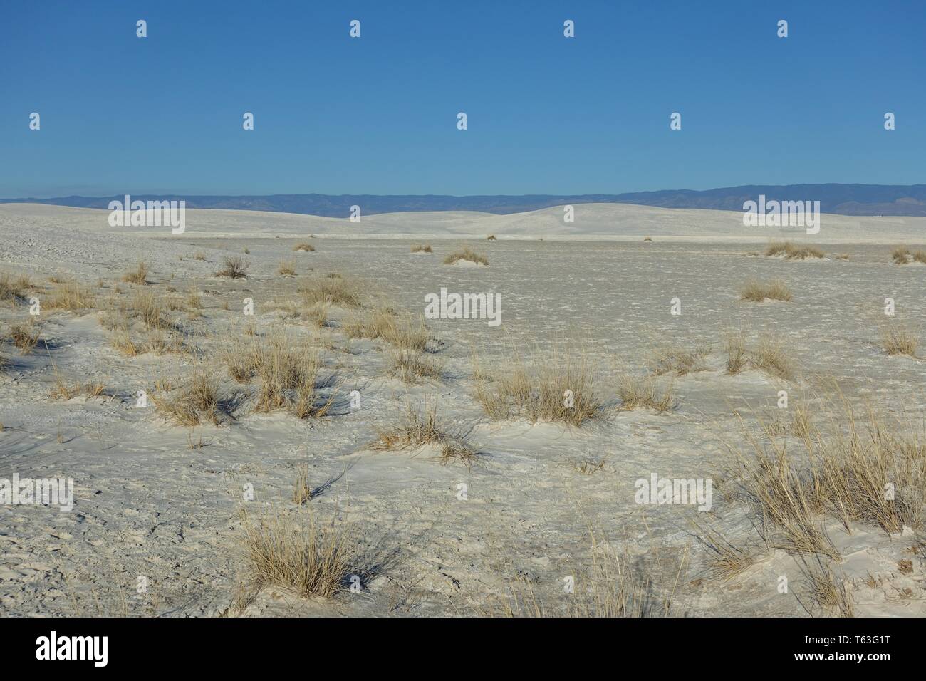 View of the White Sands National Monument with its gypsum sand dunes in ...