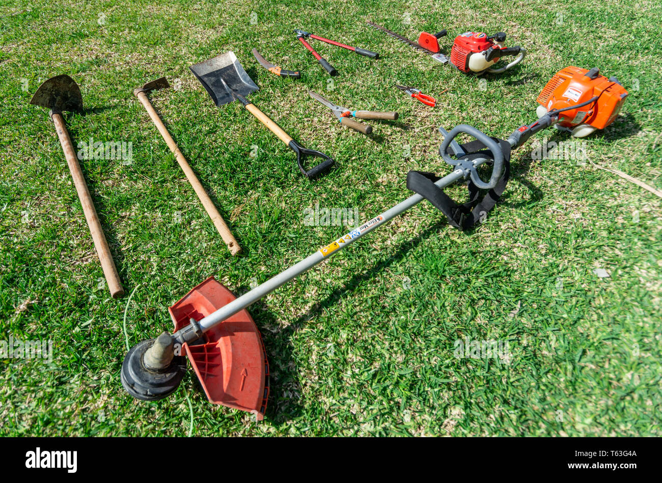 Gardening tools on green background Stock Photo - Alamy