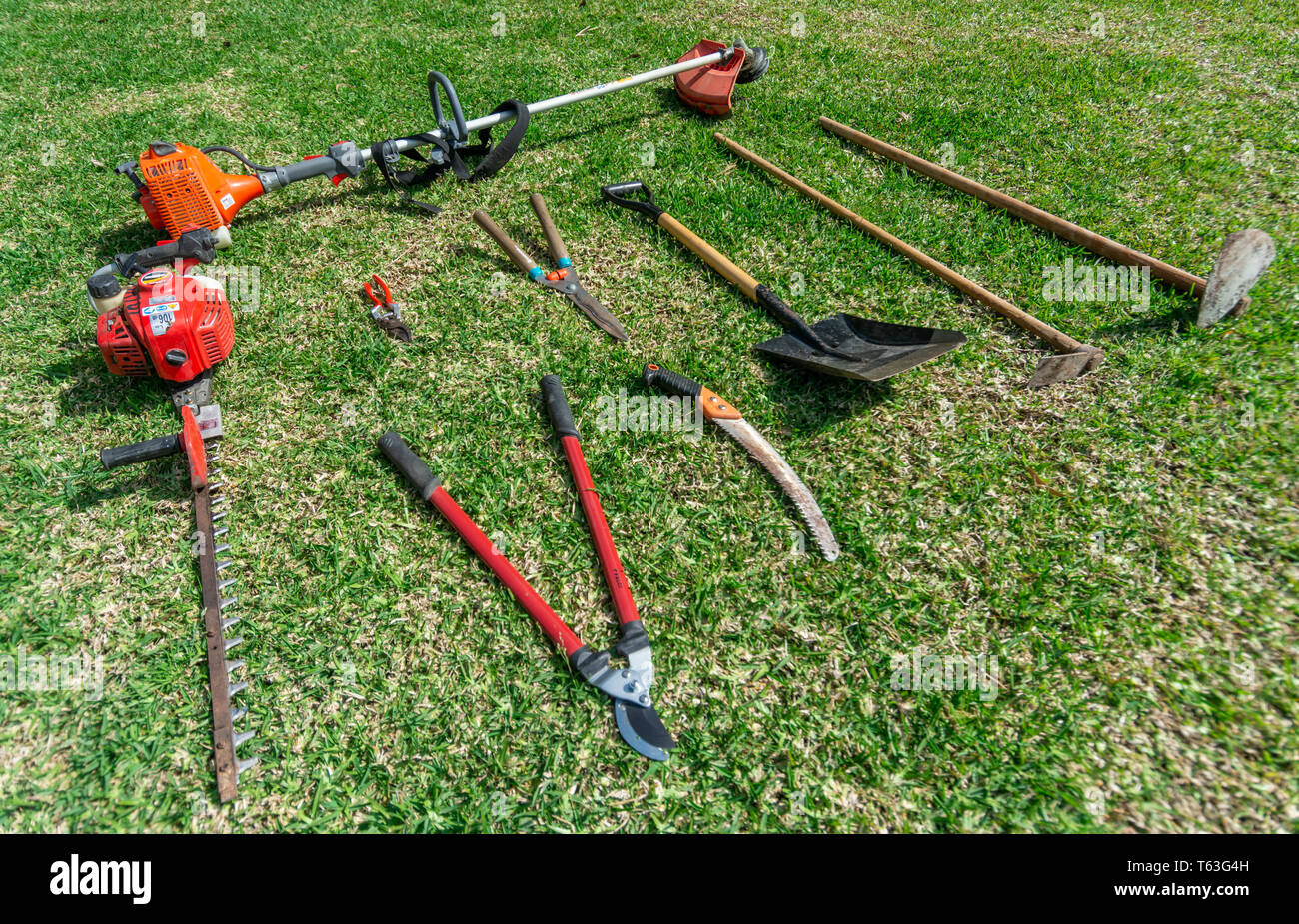 Gardening tools on green background Stock Photo - Alamy
