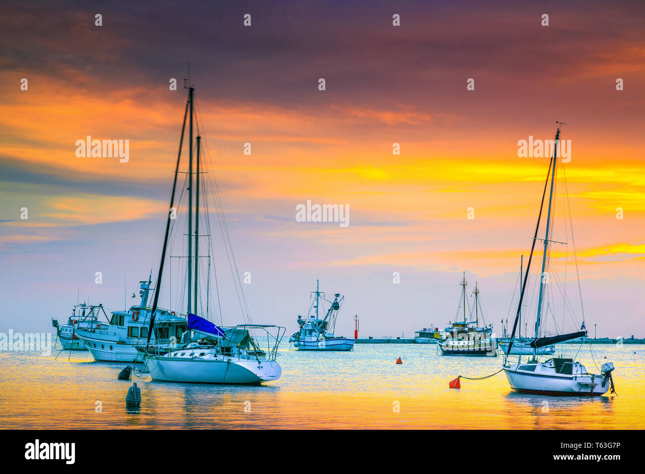 Harbor with excursion boats hi-res stock photography and images - Alamy