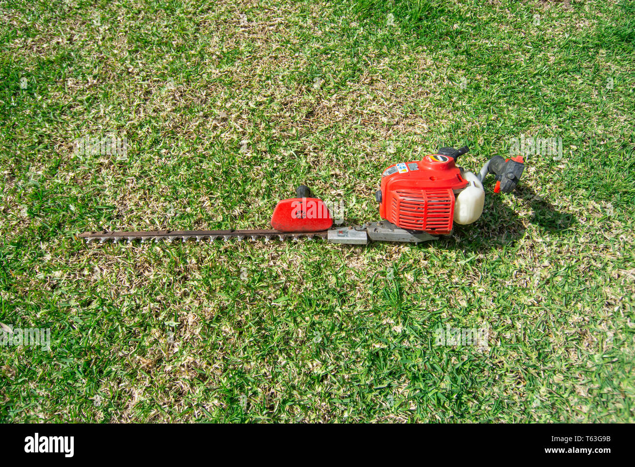 Gardening tools on green background Stock Photo - Alamy