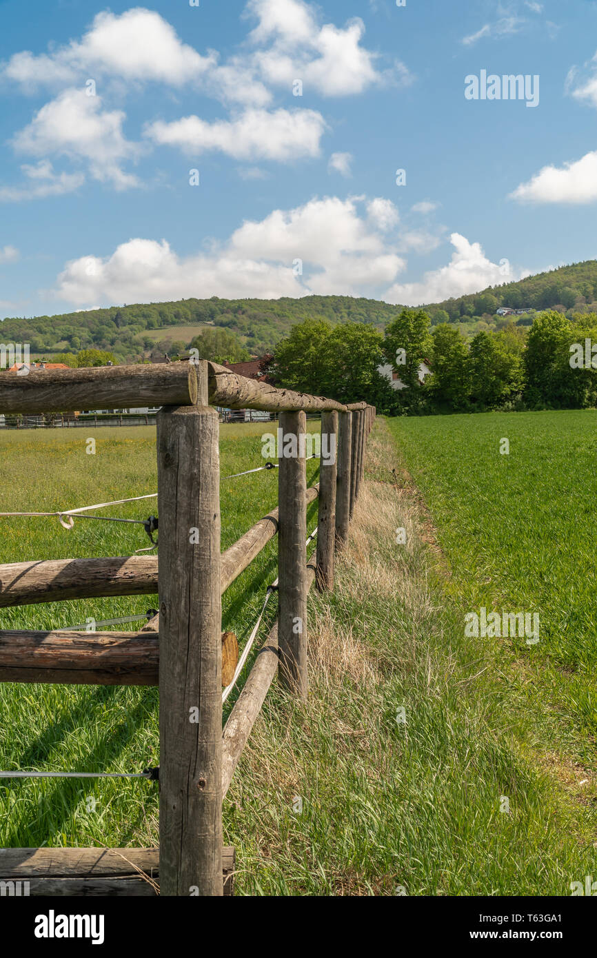 Wood pasture uk hi-res stock photography and images - Alamy