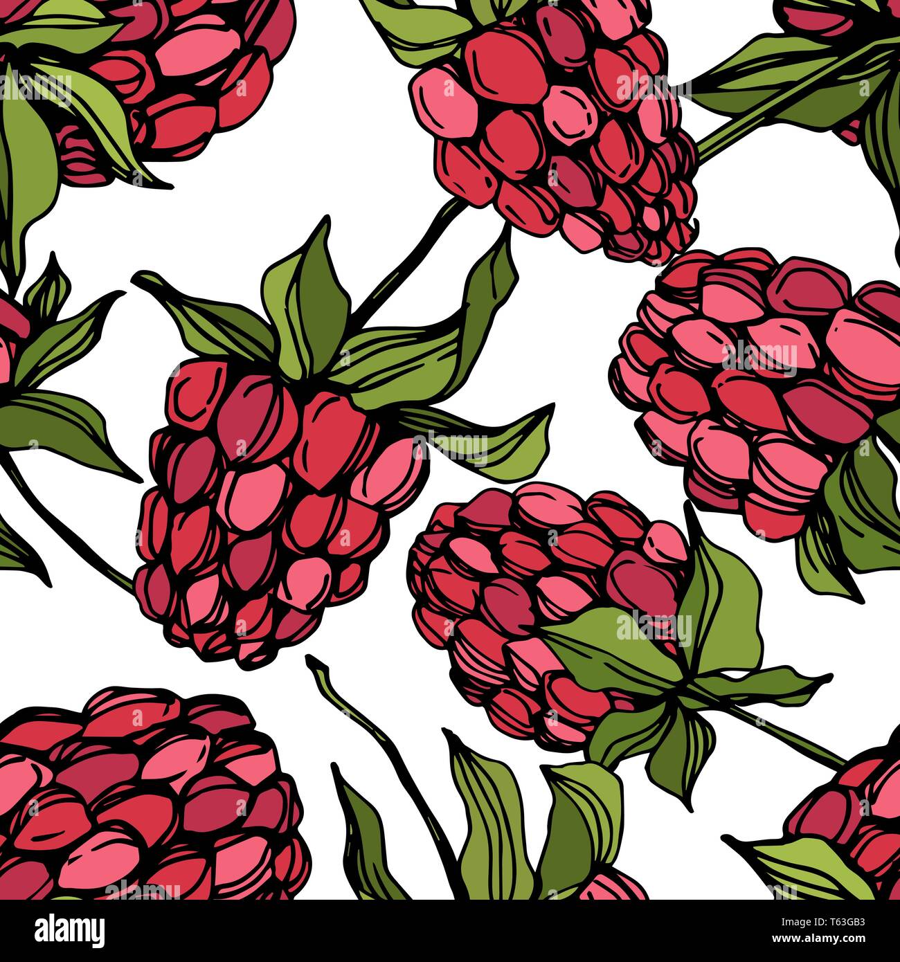 Vector Raspberry healthy food isolated. Red and green engraved ink art ...