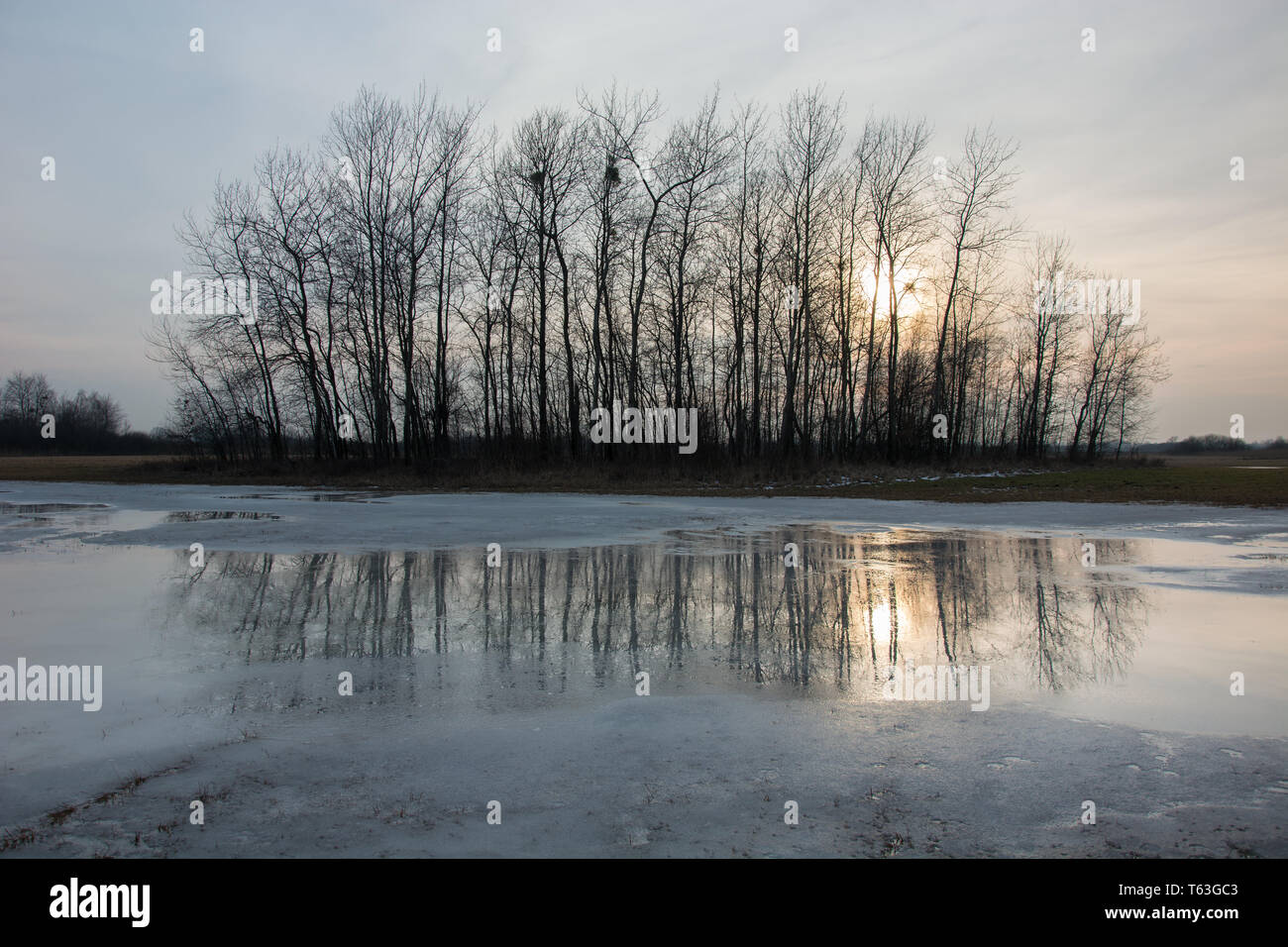 The sun is behind a group of trees reflecting in the water - period of ...