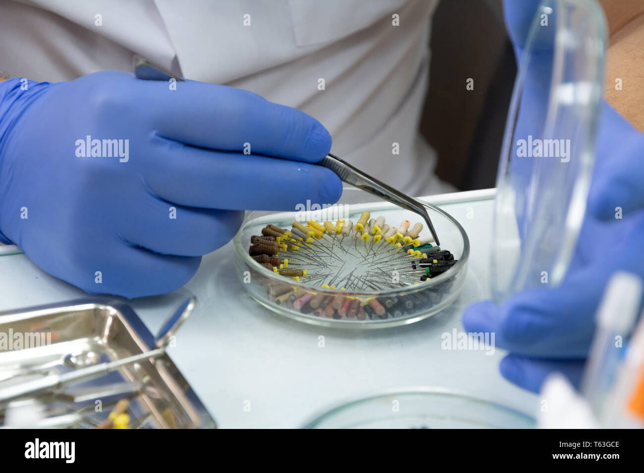 Endodontic instruments hi-res stock photography and images - Alamy