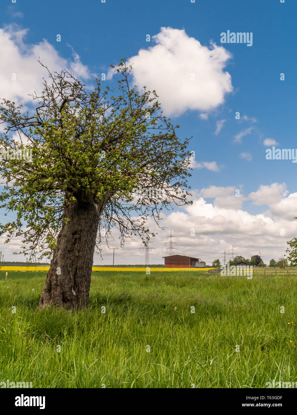 Suburban view hi-res stock photography and images - Alamy