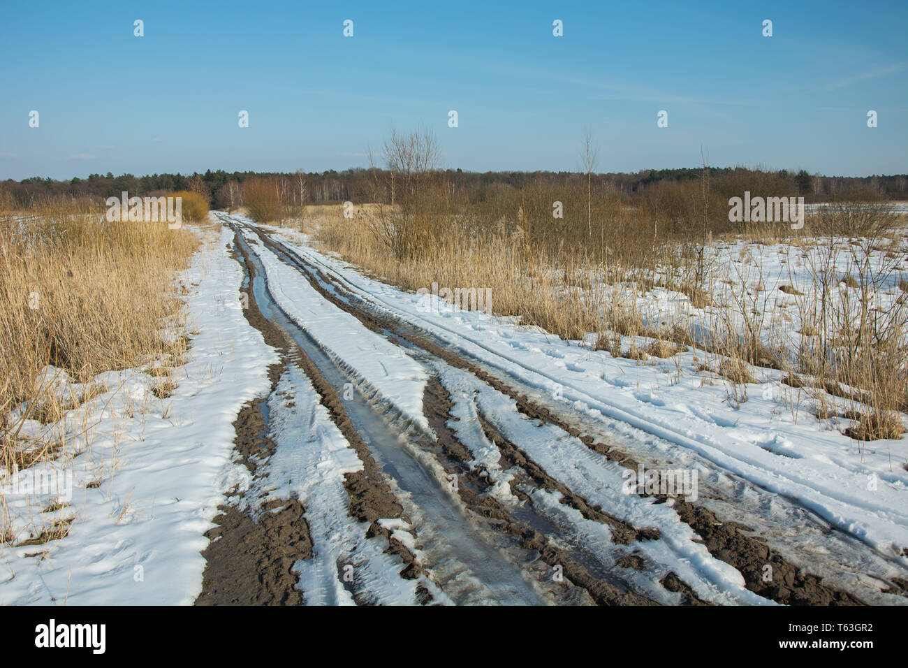 Melting snow on dirt road through fields and wild meadows and clear ...