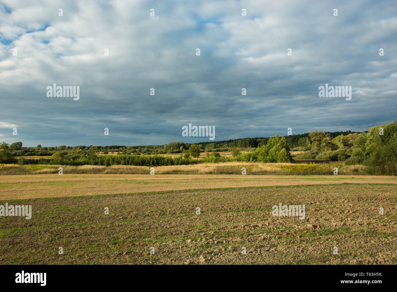 Plowed field rain clouds hi-res stock photography and images - Alamy
