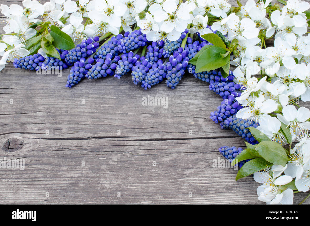 Cherry bell hi-res stock photography and images - Alamy