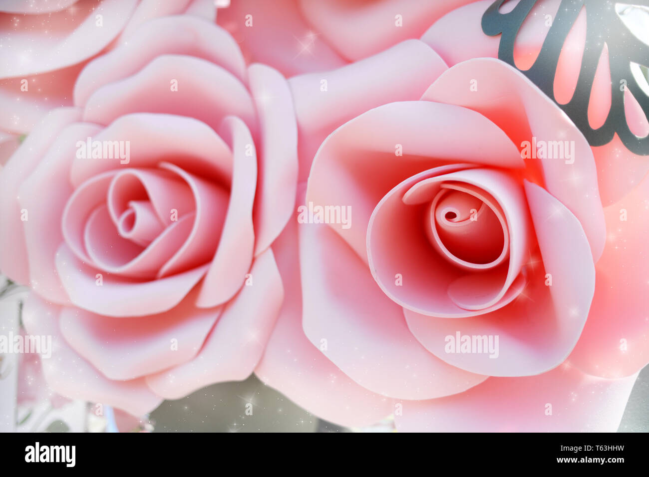 banner background with pink roses flowers and highlights Stock Photo ...