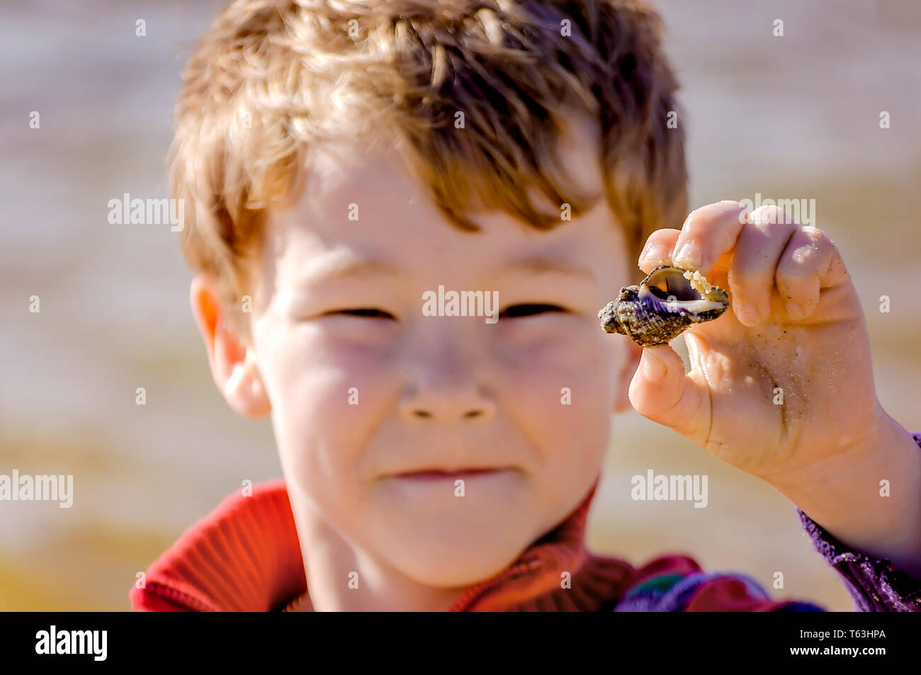 Authentic wildlife hi-res stock photography and images - Alamy