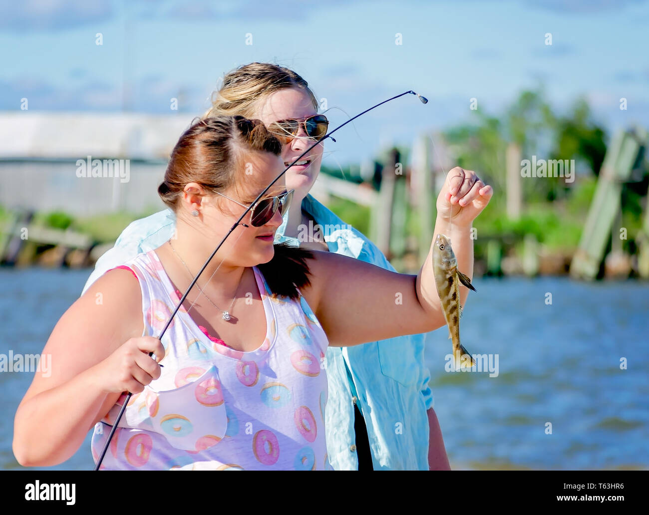 Ground mullet hi-res stock photography and images - Alamy