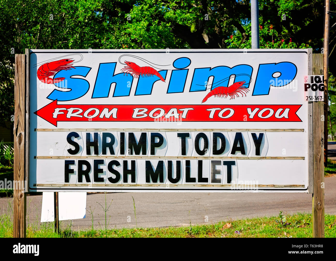 Gulf shrimp hi-res stock photography and images - Alamy