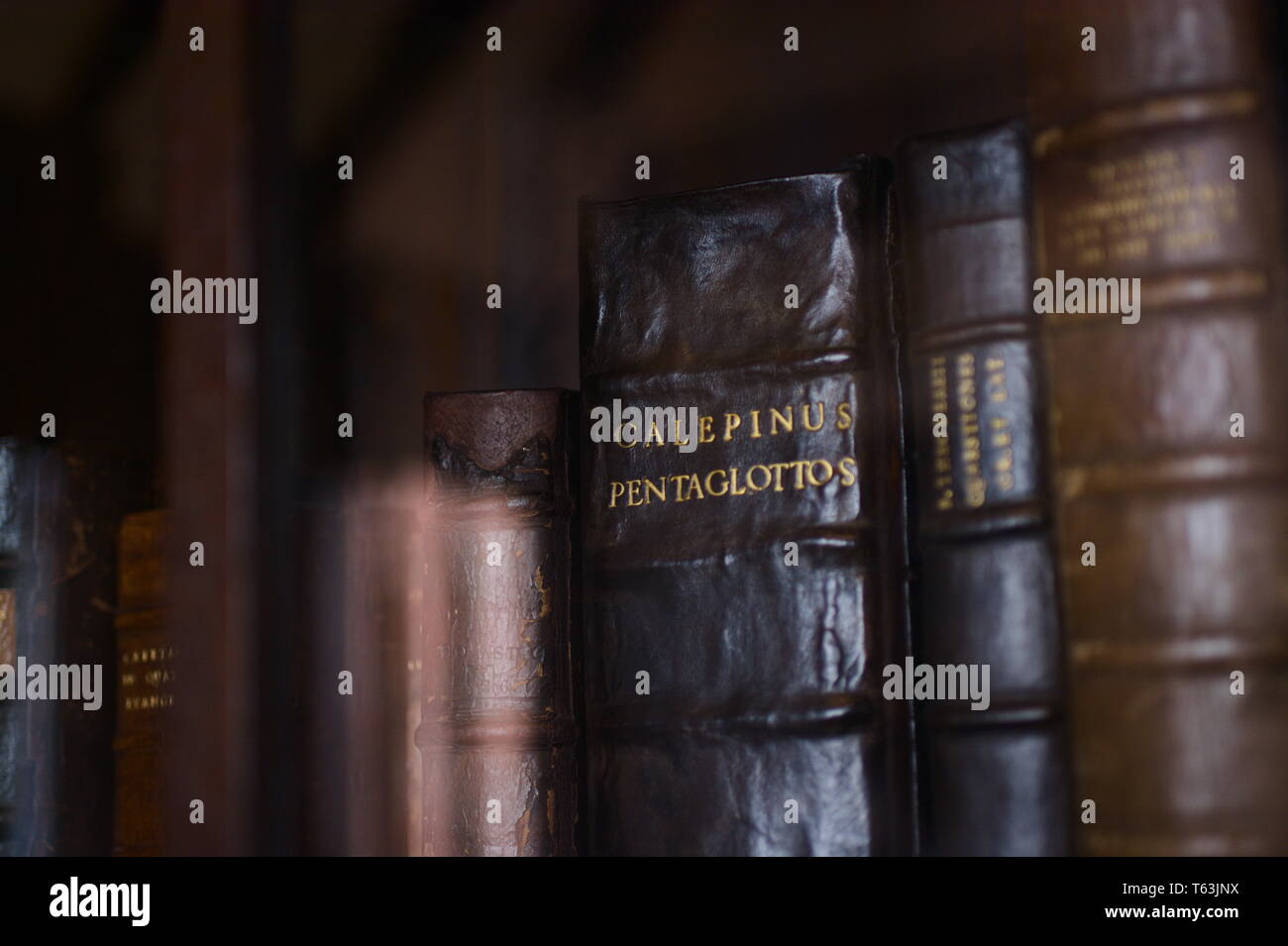 A few very old books. Shelf with books Stock Photo - Alamy