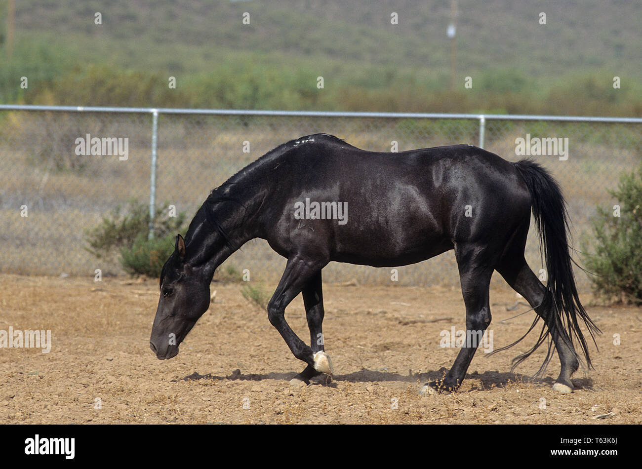 Different clours hi-res stock photography and images - Alamy
