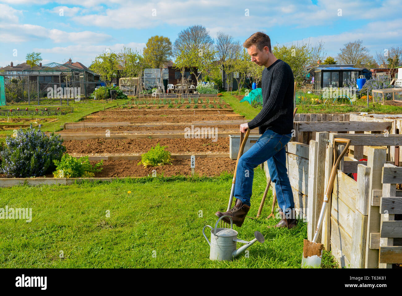 Male gardener at allotment with work tools Stock Photo - Alamy