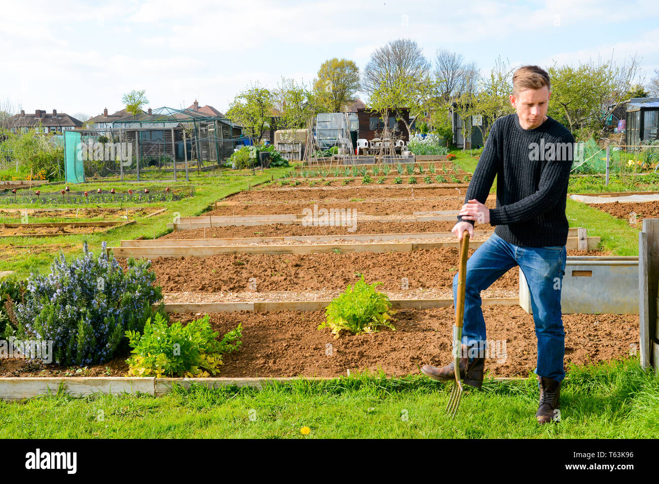 Male gardener at allotment with work tools Stock Photo - Alamy