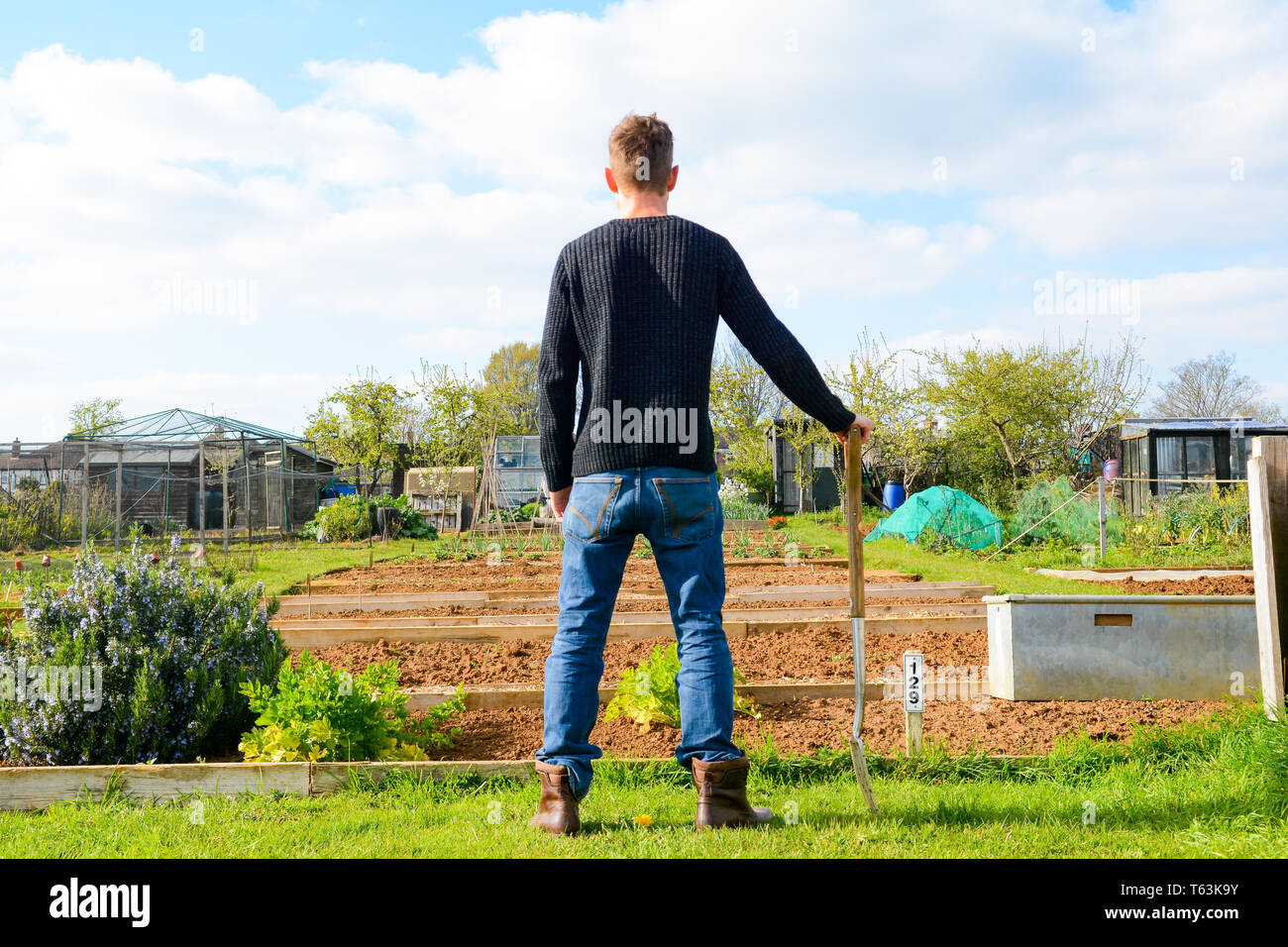 Male gardener at allotment with work tools Stock Photo - Alamy