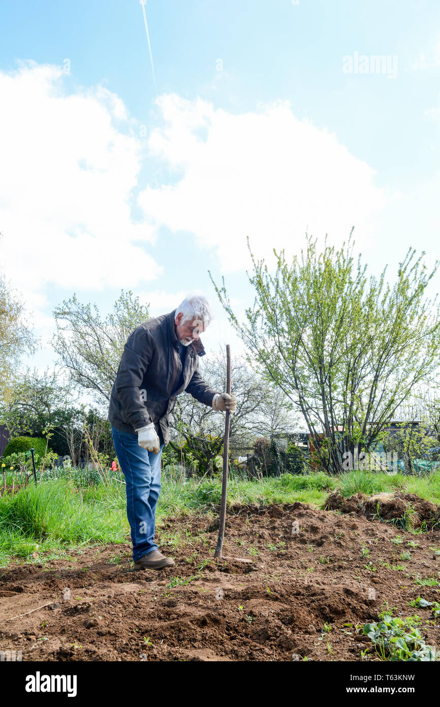 Man preparing ground to grow own vegetables in an allotment garden ...