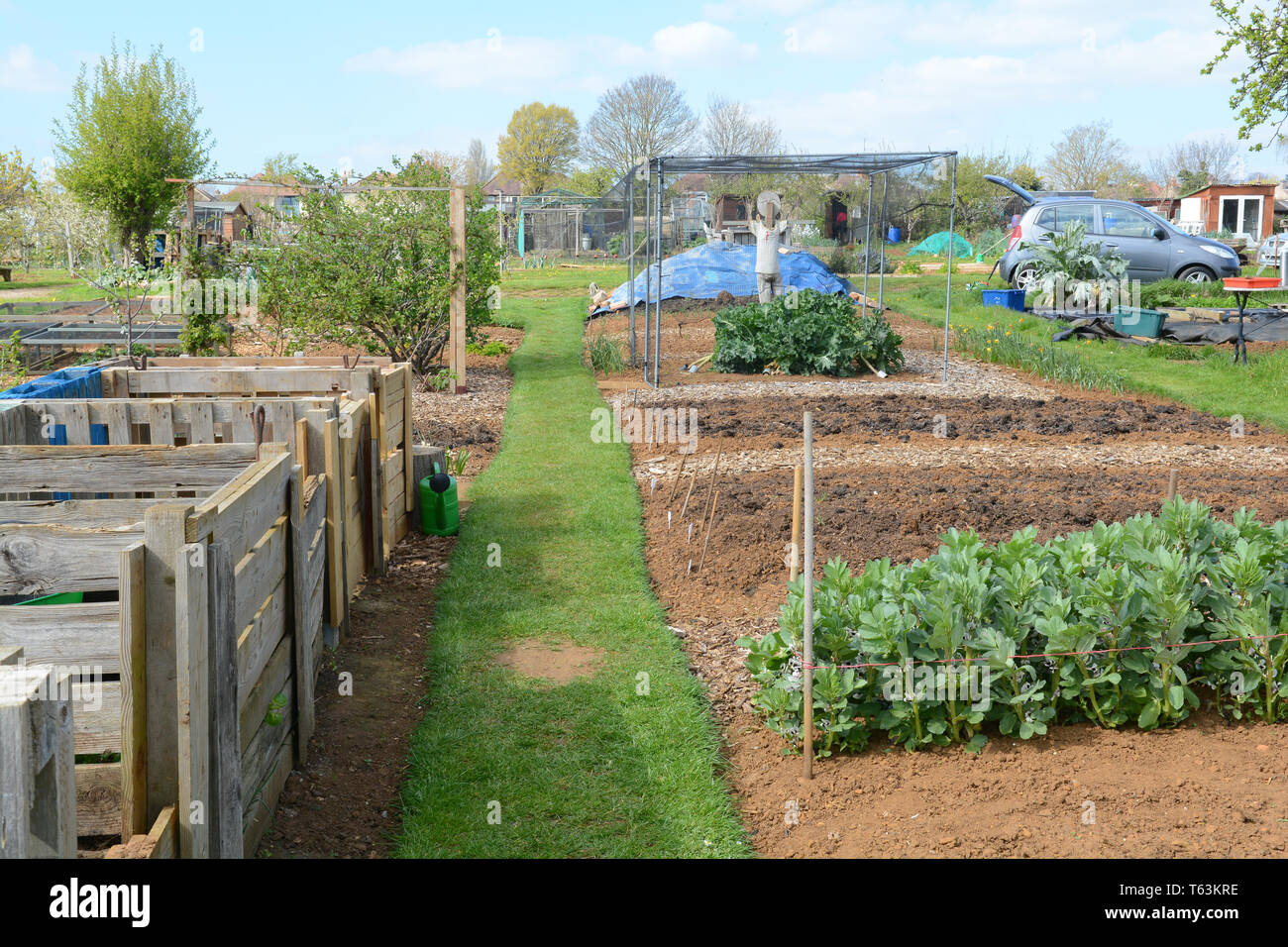 Community allotment space for local people to grow produce Stock Photo ...