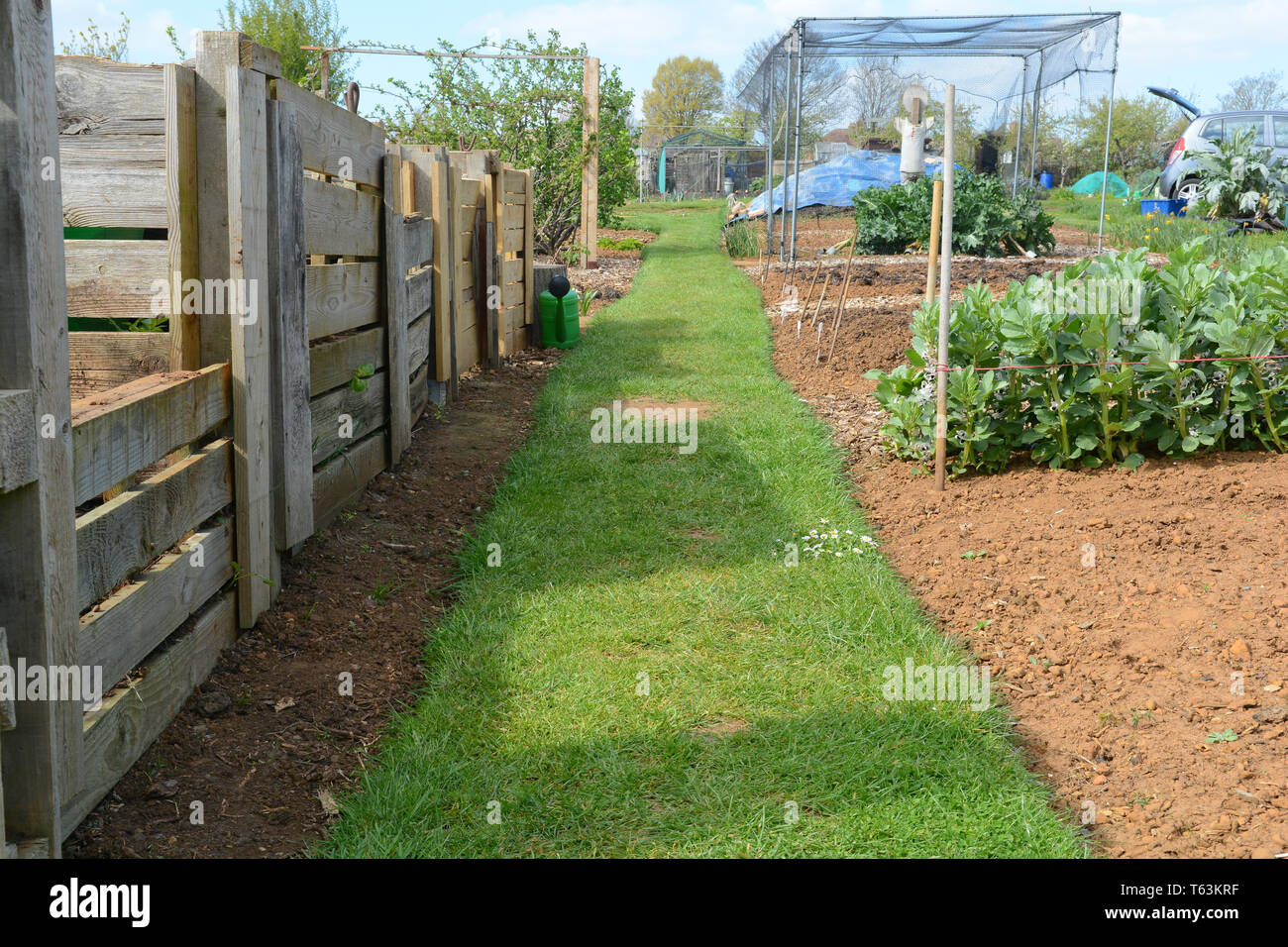 Community allotment space for local people to grow produce Stock Photo ...