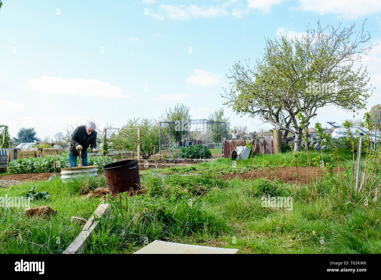 Vegetable patch digging hi-res stock photography and images - Alamy