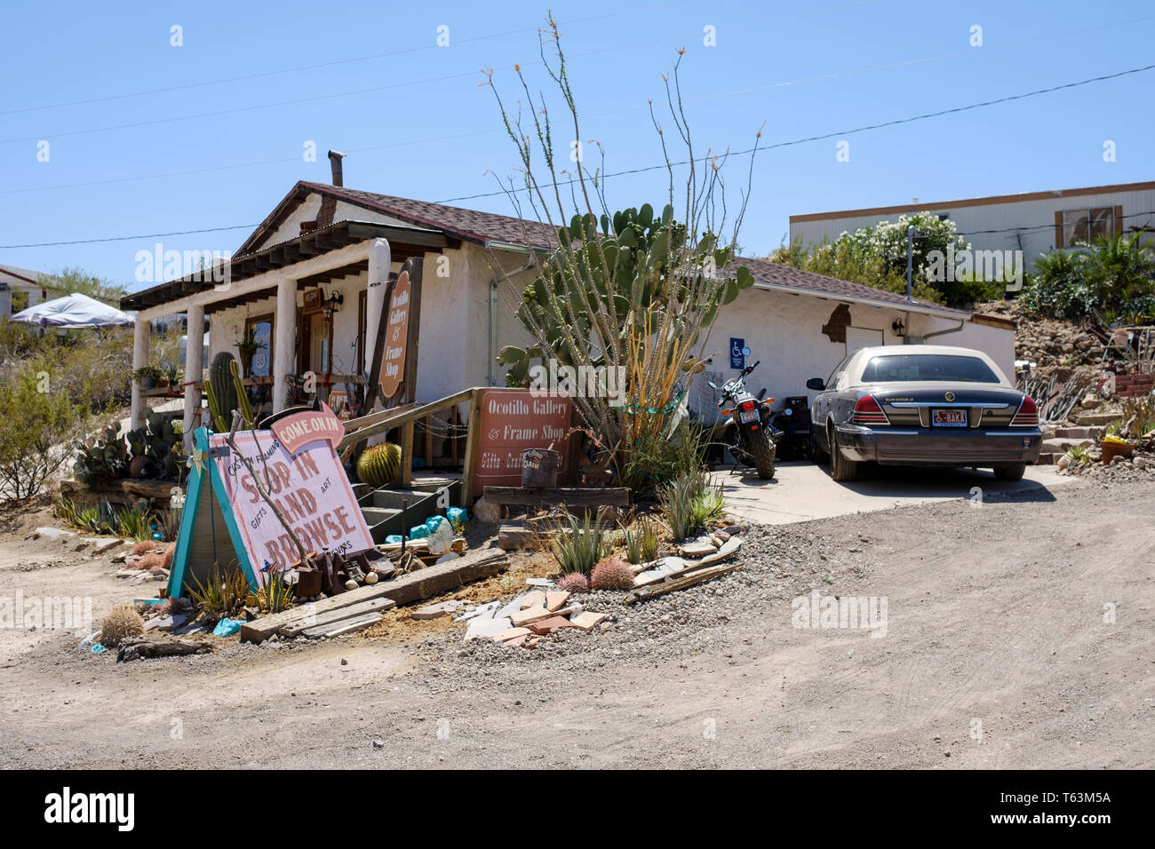 Ocotillo gallery hi-res stock photography and images - Alamy