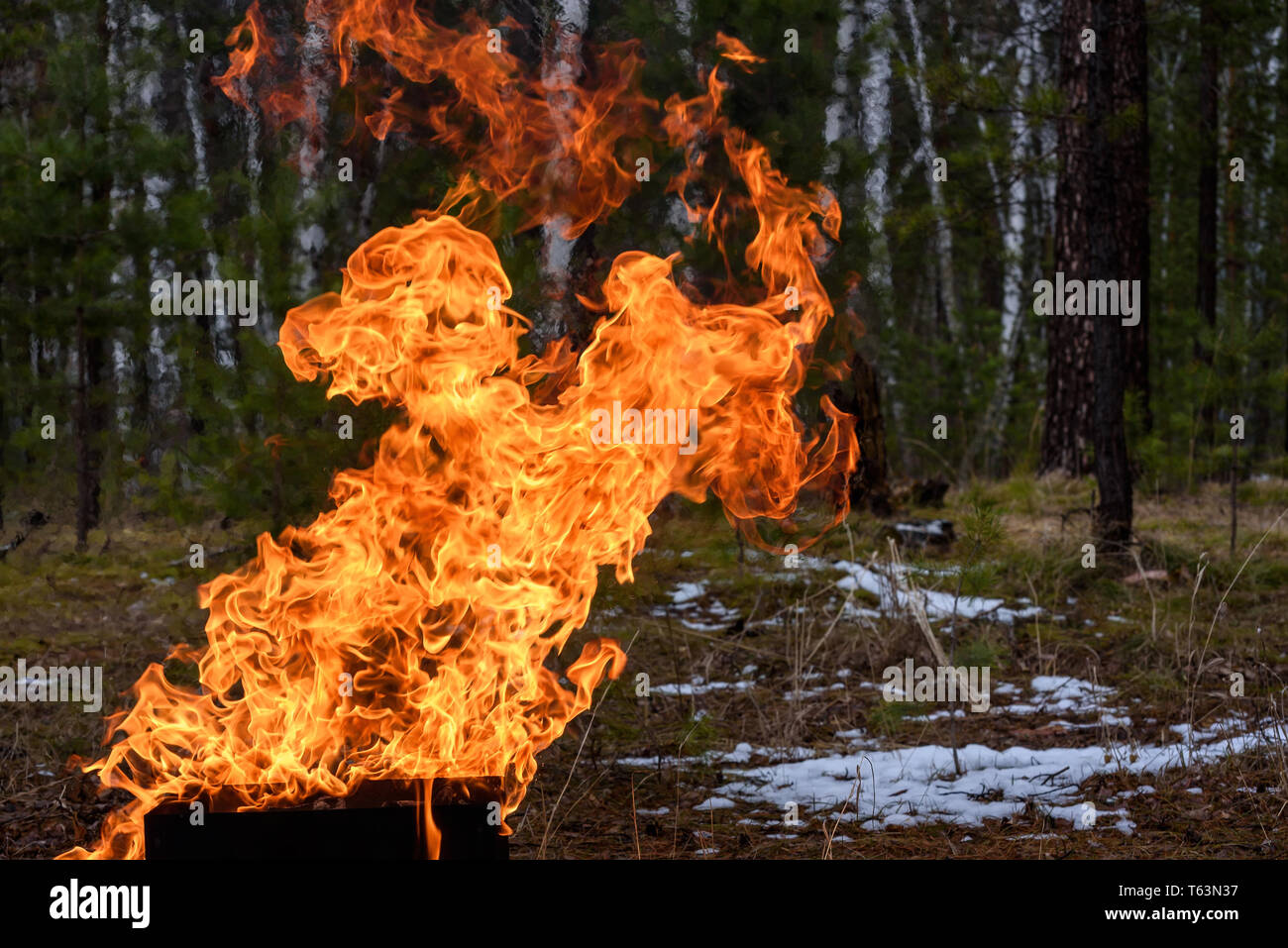 Huge flame of a fire with various figures on the background of a spring ...