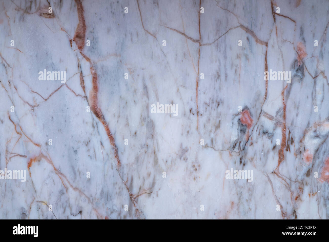 White grey marble natural texture floor and wall pattern and color ...