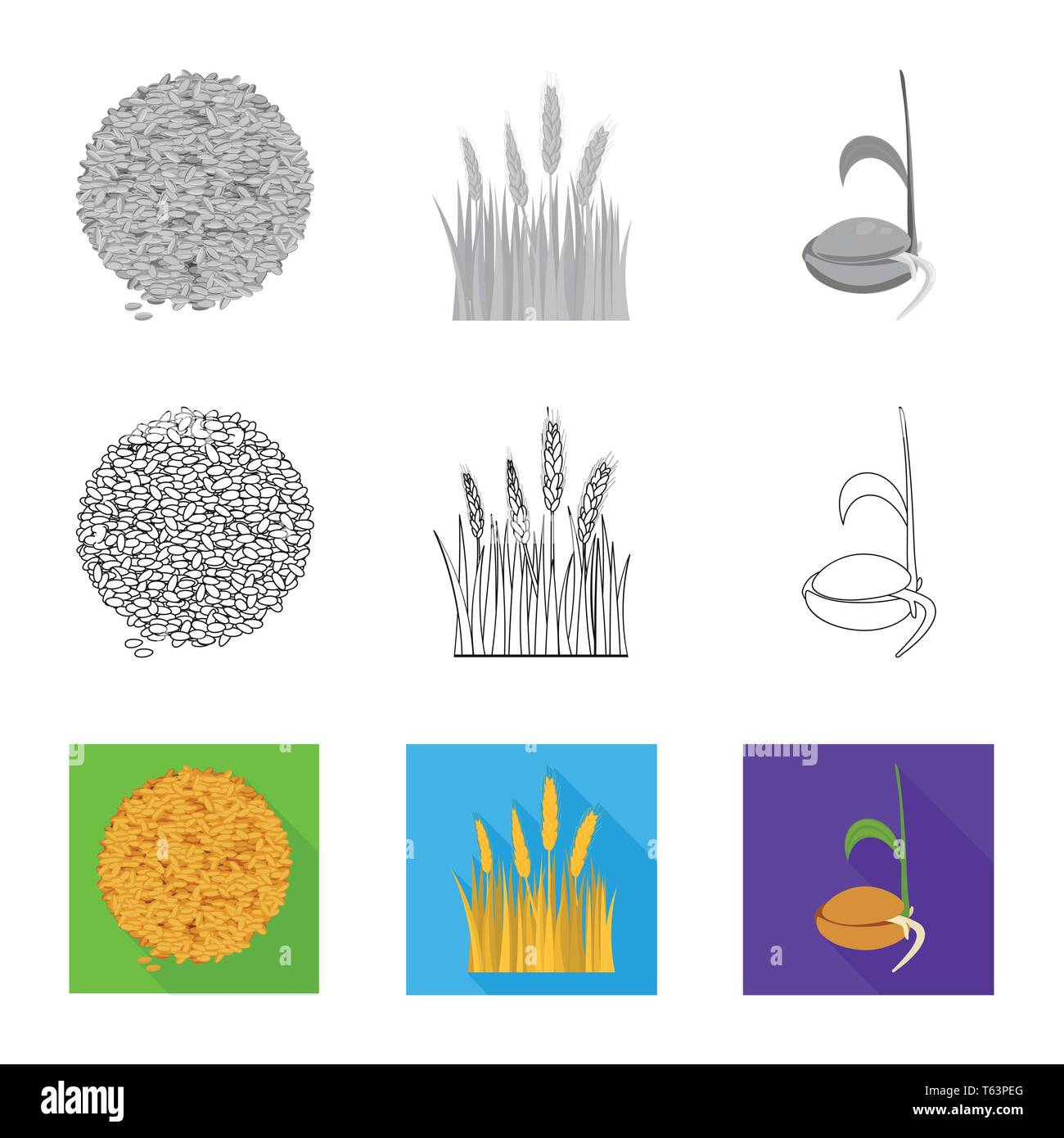 spring,seed,seeds,spike,grow,crop,barley,root,bread,land,seedling ...