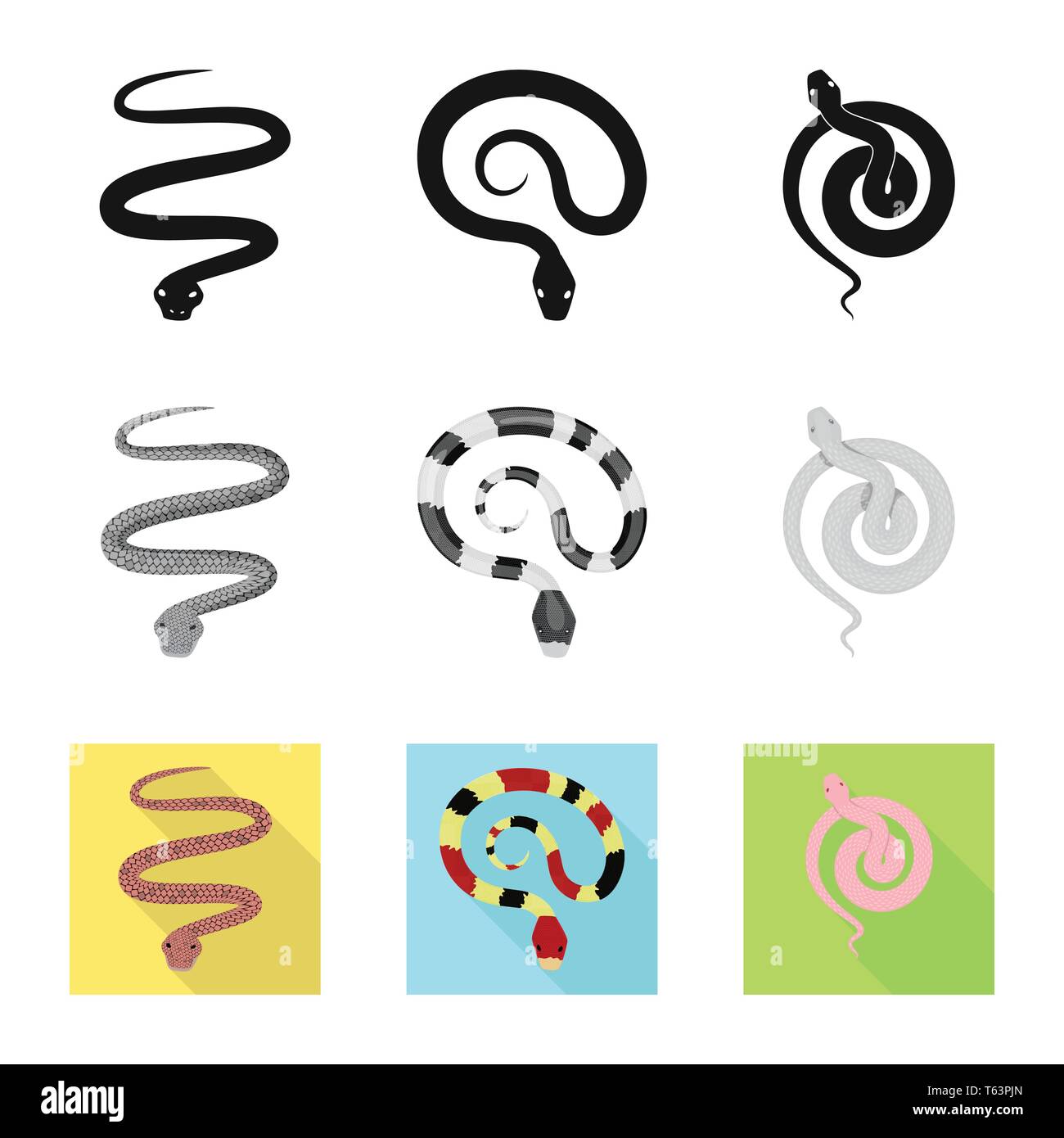 Coral Snake Tail High Resolution Stock Photography and Images - Alamy