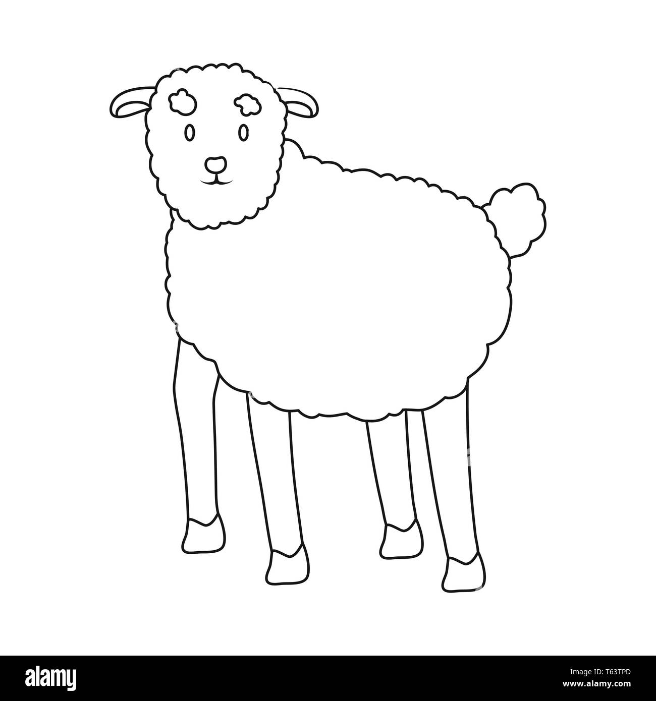 wool,meat,fluffy,happy,cattle,mutton,farm,food,homemade,countryside ...