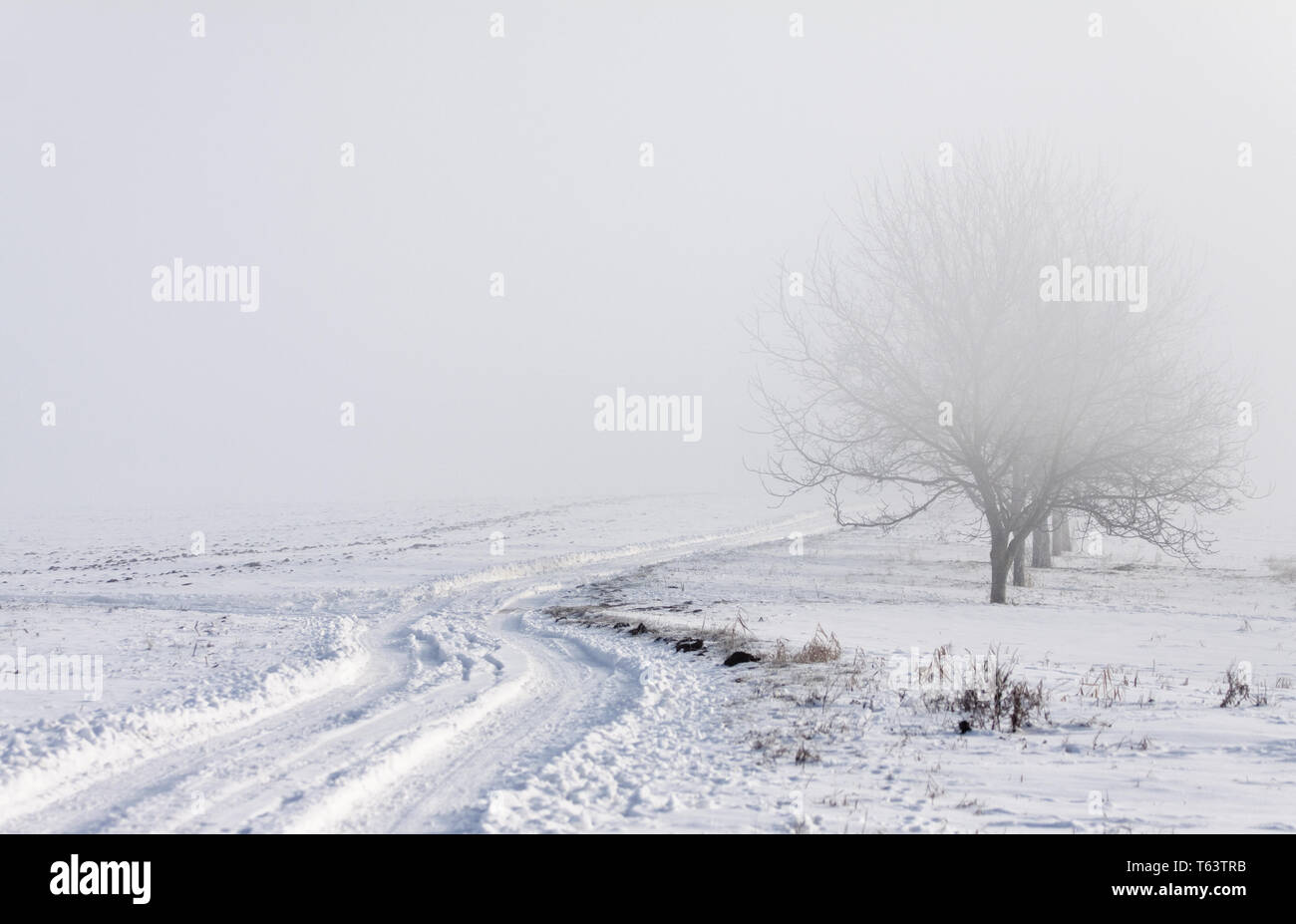 Mist early hi-res stock photography and images - Alamy