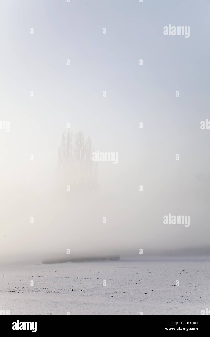 Mist early hi-res stock photography and images - Alamy